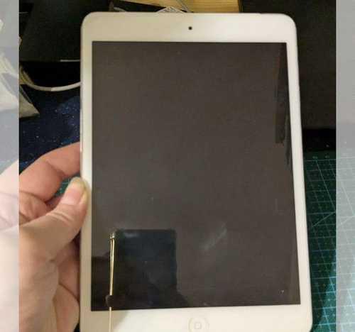 iPad mini 1