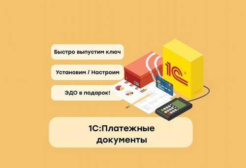 1С Платежные документы 8