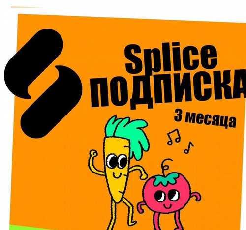 Splice легально подписка на семплы / музыка