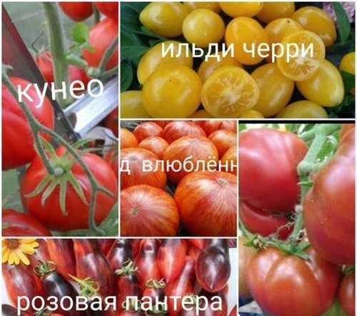 Набор семян томатов