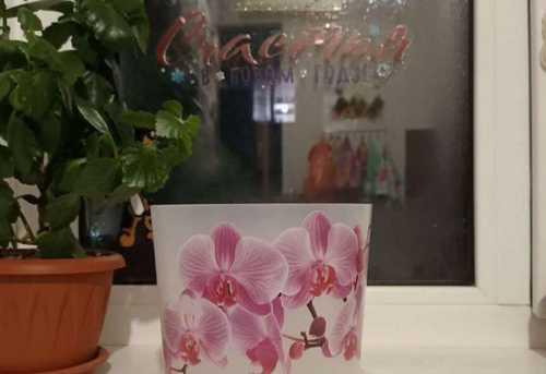 Горшок для орхидей Новый