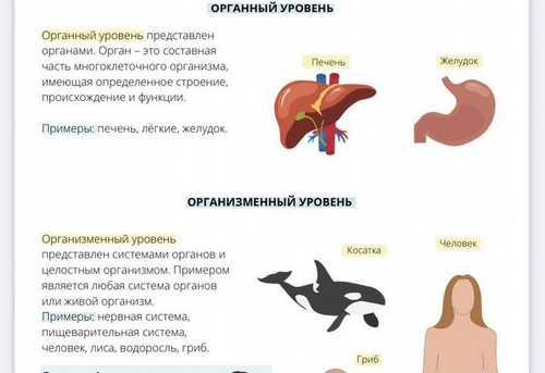 Учебник по биологии Алены Бриз