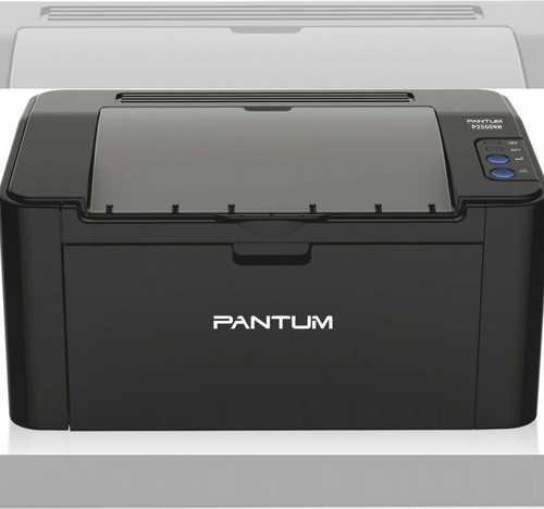 Pantum P2500NW