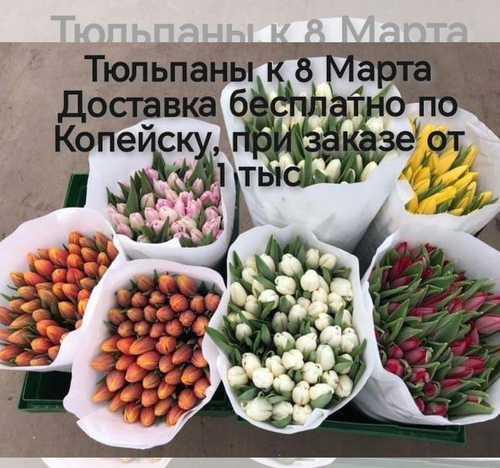 Тюльпаны к 8 марта в розницу