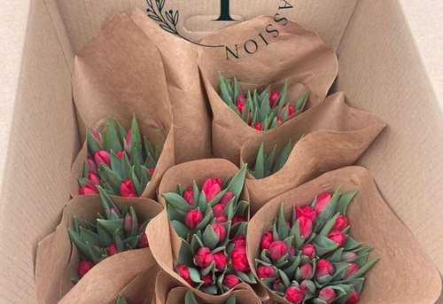 Тюльпаны букет к 14 февраля