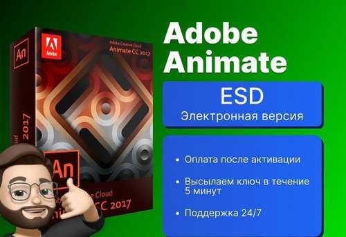 Ключ Adobe Animate