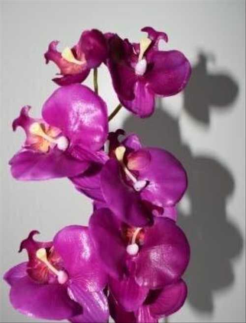 Растение искусственное орхидея икеа