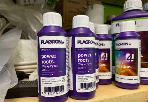 Стимулятор для корней Plagron Power Roots 100 ml