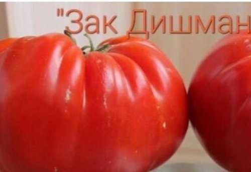 Набор семян гигантов томат