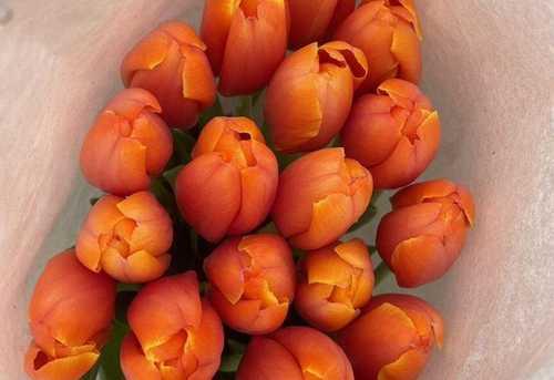 Тюльпаны на 8 марта букеты
