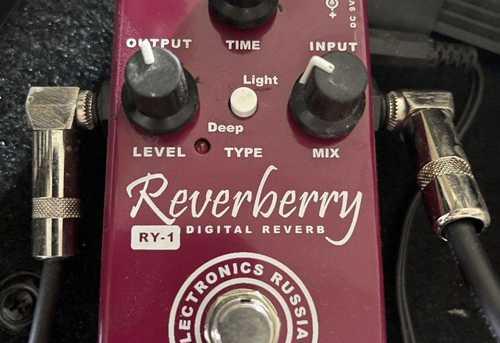 AMT Electronics Reverberry RY-1 Reverb