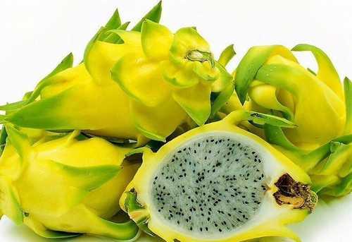 Семена лимонной питахайи