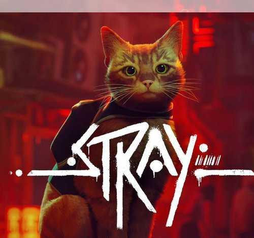 Stray PS4/PS5