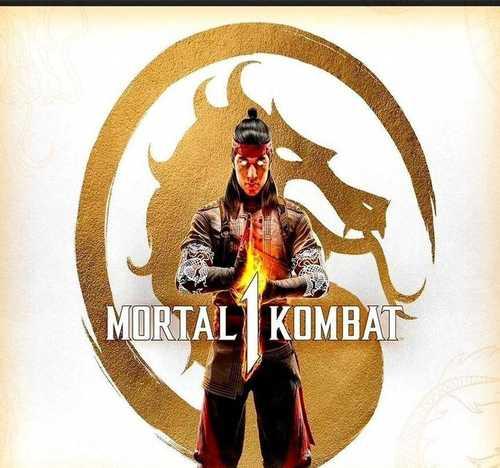 Mortal Kombat 1/11 для PS5/PS4 kl-2983