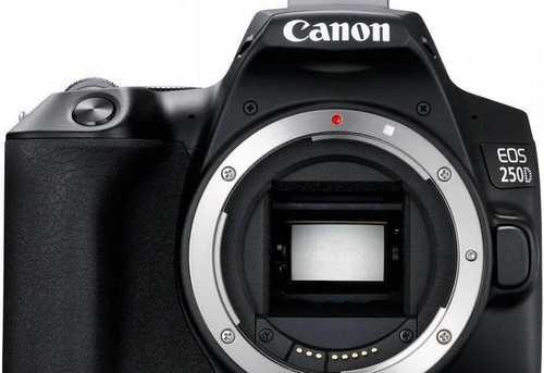Canon 250D Body новый гарантия, обмен