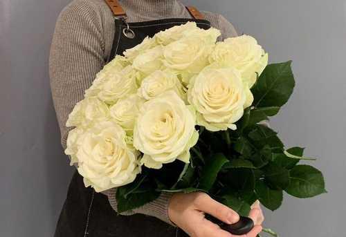 Ароматная роза Эквадор 50 см, цветы. Букеты