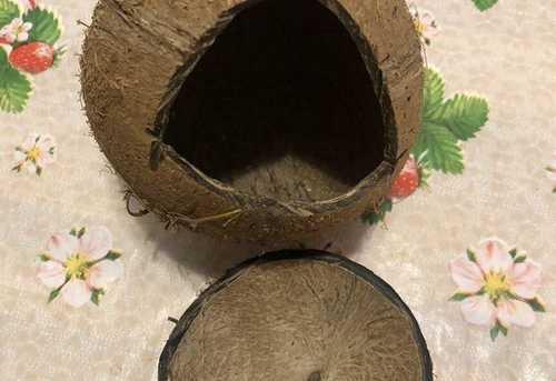 Скорлупа от кокоса