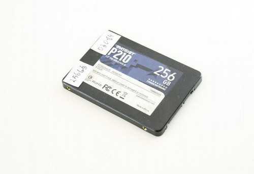 SSD 256 GB Patriot P210