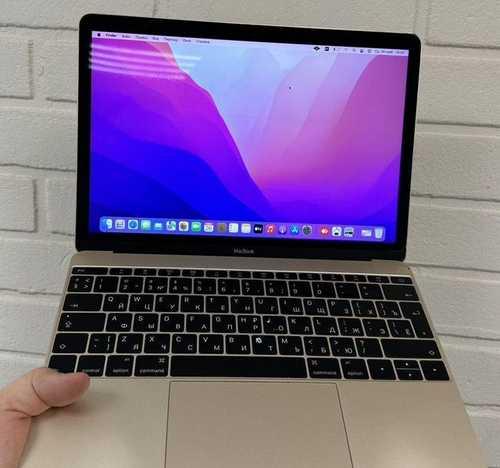 MacBook 12 (2016), 256 ГБ, Core m7, 1.3 ГГц, RAM 8 ГБ, Intel HD Graphics 515