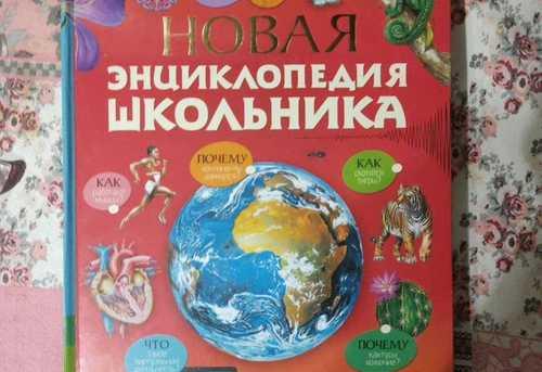 Большая новая энциклопедия школьника книга