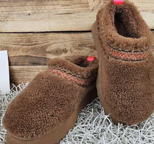Тапки Ugg Tazz Braid Hardwood женские оригинал