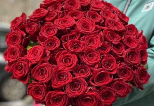 Розы Букет Цветы Доставка 101 роза 55 роз 21 роза