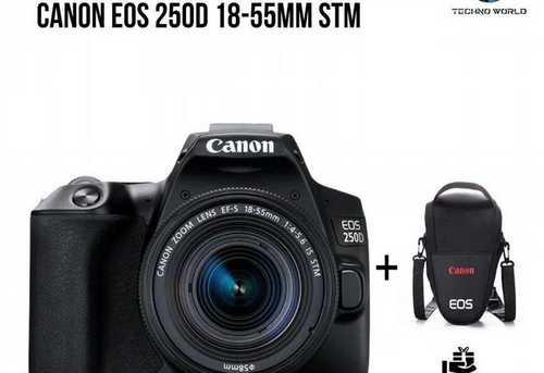 Canon 250D kit 18-55mm STM (Новый)