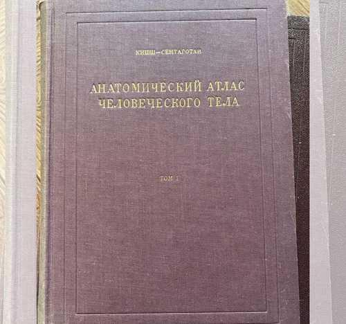 Атлас анатомический человеческого тела 1962г Кишш