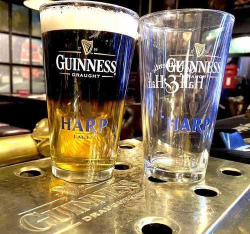 Guinness & Harp pint