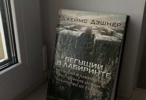 Бегущий в лабиринте