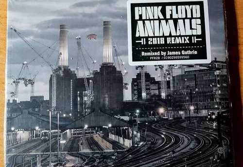 CD Pink Floyd