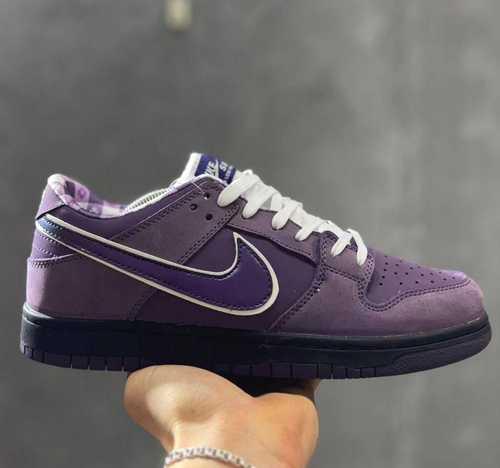 Кроссовки Concepts x Nike Dunk Low SB Purple Lobster