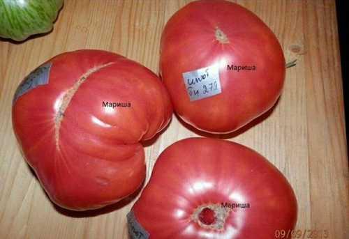Семена томата Ипотечный Лифтёр Красный(сша)
