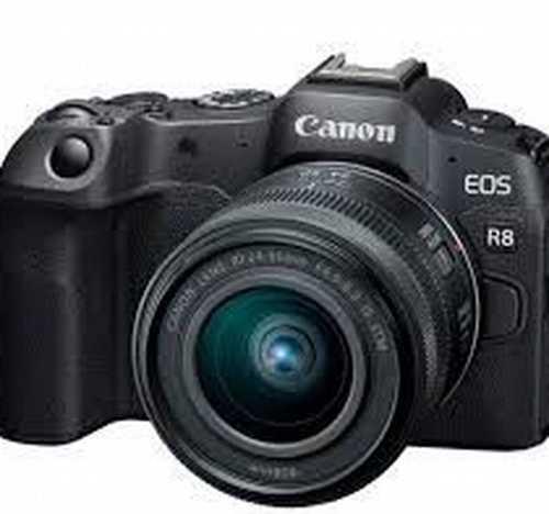 Canon r8  RF 50mm 1.8 stm