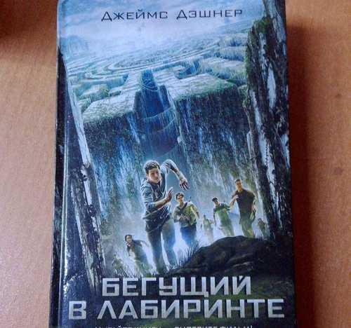 Книга бегущий в лабиринте