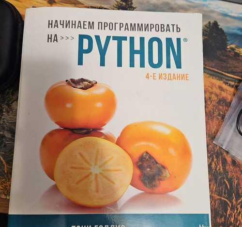 Начинаем программировать на python