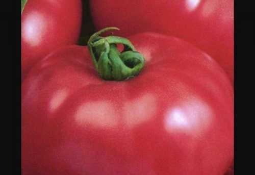 Семена томатов Японский краб