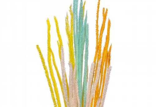 Мелика Цилиата микс (1 ветка) сухоцвет