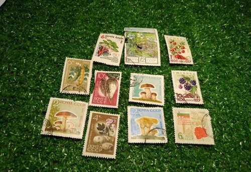 Почтовые марки СССР флора