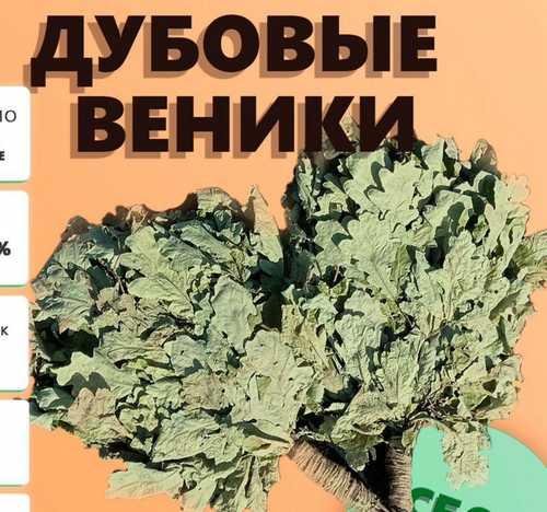 Дубовые веники для бани