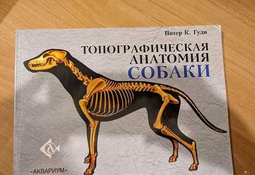 Анатомия собаки