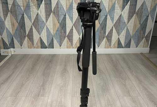 Монопод Manfrotto 561bhdv