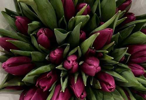 Тюльпаны к 8 марта оптом и мелким оптом