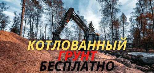 Котлованный грунт бесплатно для отсыпки участка