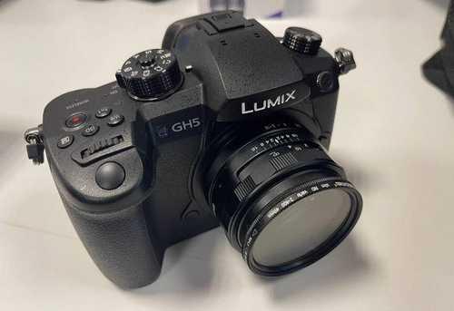 Panasonic lumix gh5 с объективом