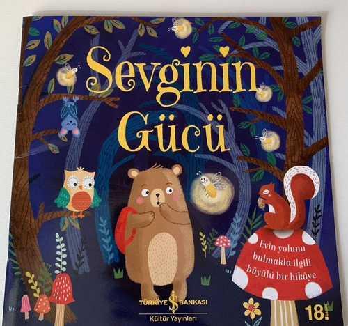 Книга Sevginin gücü