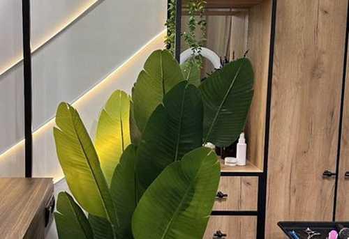 Банановое дерево искуственное растение
