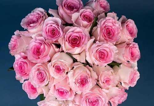 Розы эквадор, букет роз, доставка цветов
