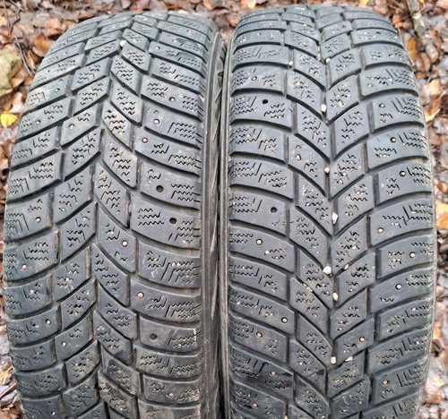Vredestein IceTrac 175/65 R14