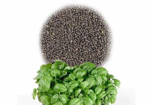 Семена Микрозелень от 50 грамм арт.0071